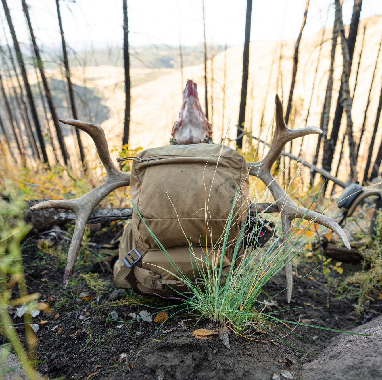 Gear Fool | Equip for the Outdoors | Remote Gear Solutions