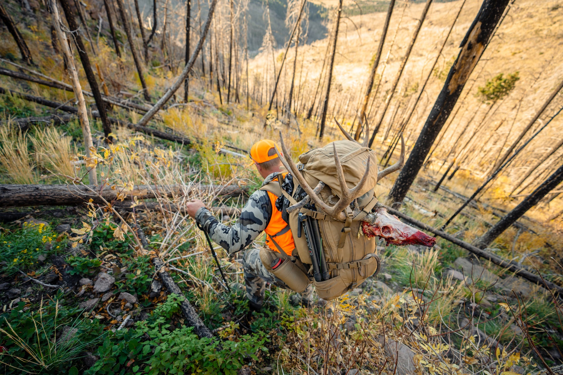 Gear Fool | Equip for the Outdoors | Remote Gear Solutions