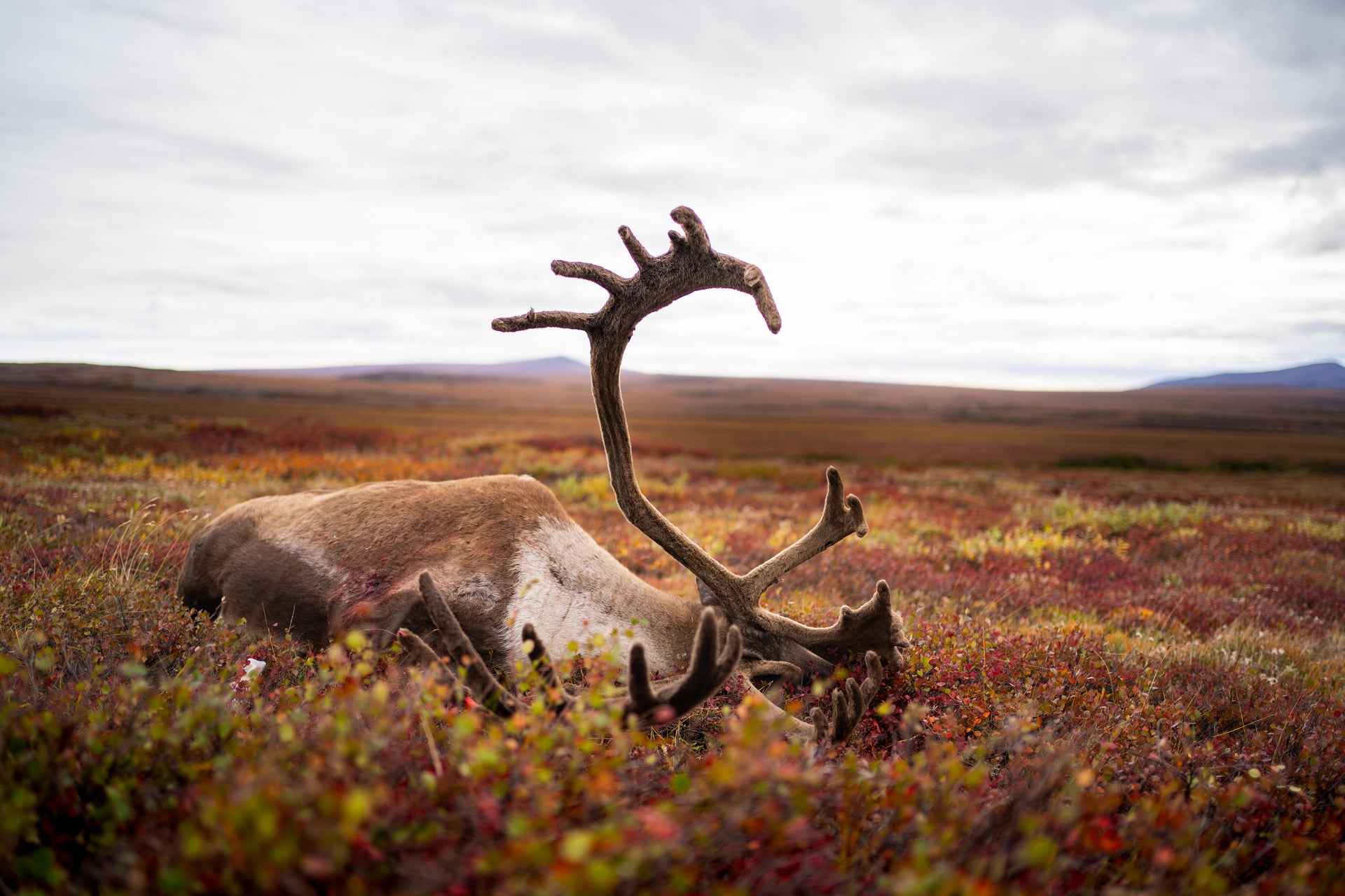 Gear Fool | Equip for the Outdoors | Remote Gear Solutions